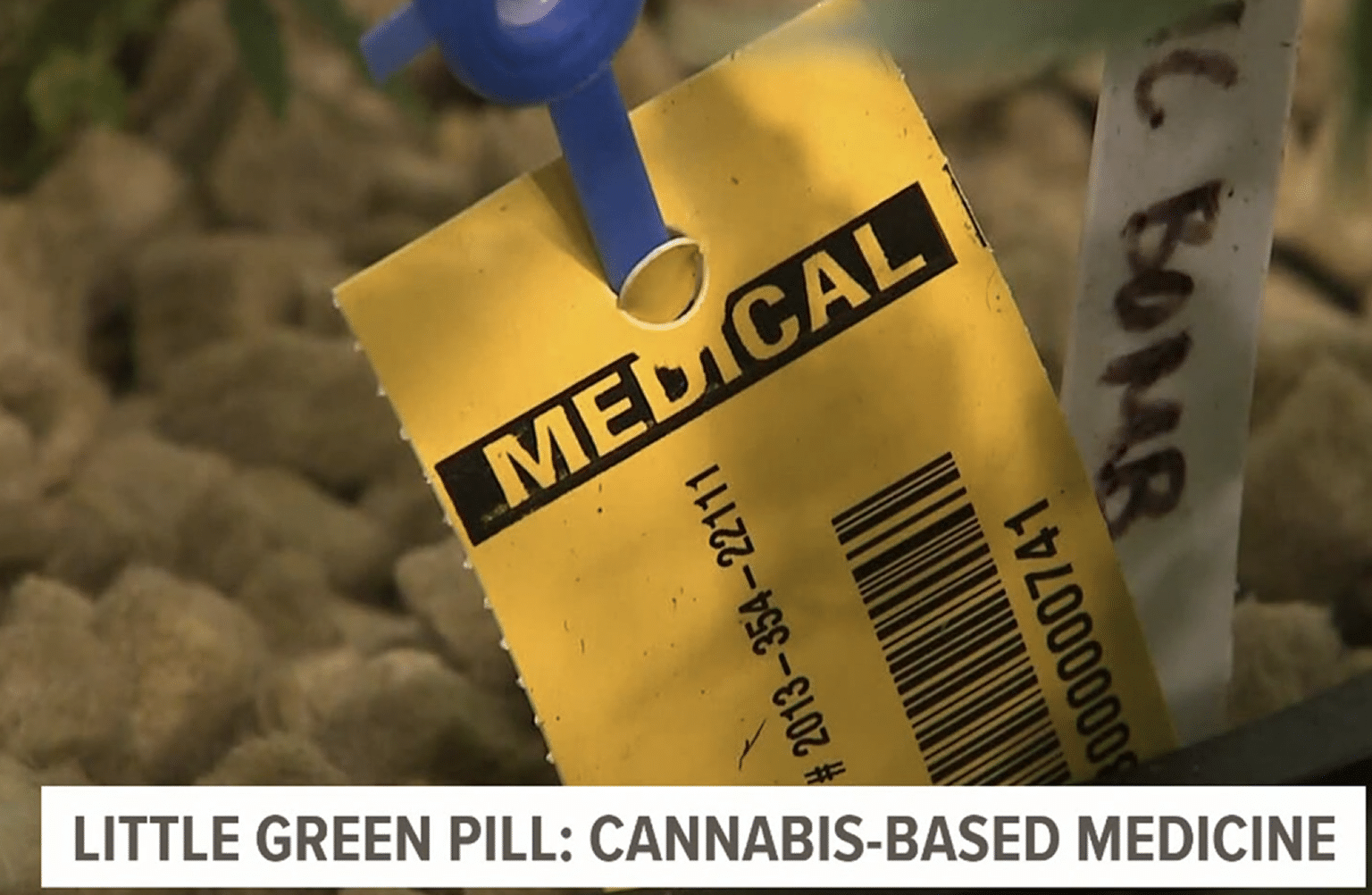 The transition from medical marijuana to cannabis-based pharmaceutical ...